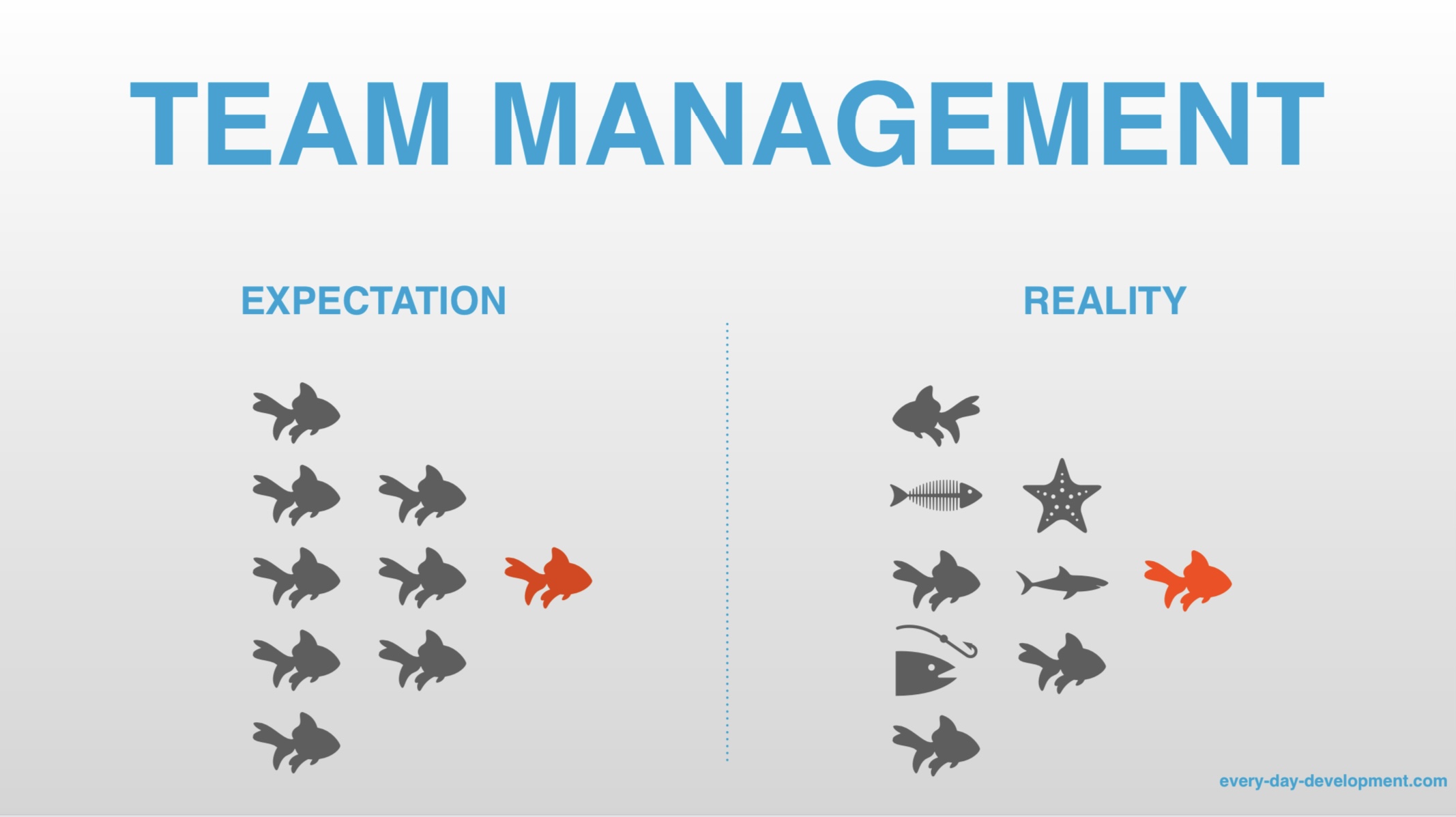 TEAM MANAGEMENT – Every Day Development