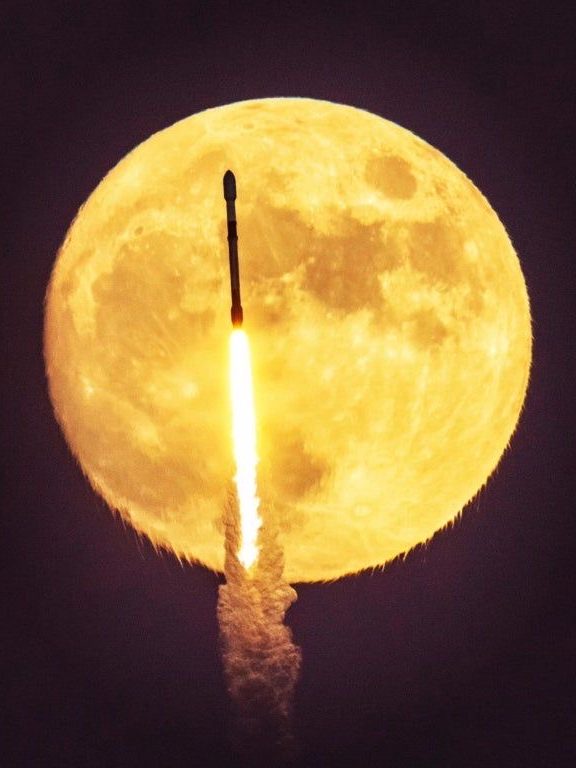 LEADERSHIP CASE STUDY: ELON MUSK (TESLA, SpaceX, X) – Every Day Development